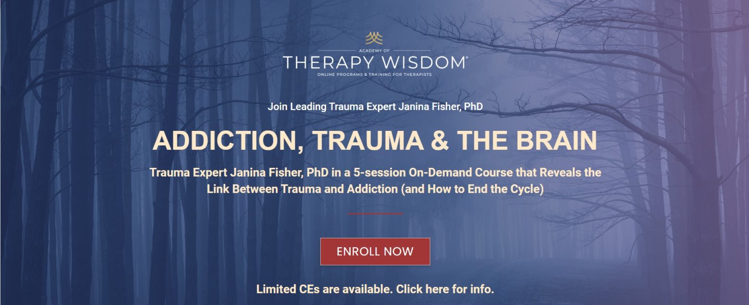 Digital Courses - Janina Fisher